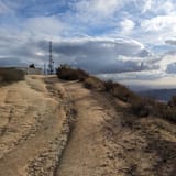 Beaudry Loop, California - 4,850 Reviews, Map | AllTrails