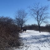 Sachuest Point National Wildlife Refuge Trail, Rhode Island - 1,651 ...