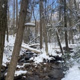 Eagle's Nest via Sand Spring and Tom Lowe Trails Loop, Pennsylvania ...