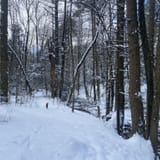 Eagle's Nest via Sand Spring and Tom Lowe Trails Loop, Pennsylvania ...