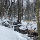 Eagle's Nest via Sand Spring and Tom Lowe Trails Loop, Pennsylvania ...