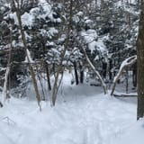 Eagle's Nest via Sand Spring and Tom Lowe Trails Loop, Pennsylvania ...