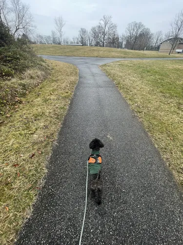 Best Hikes and Trails in Wilson Point Park | AllTrails