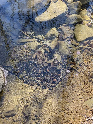 Best Hikes and Trails in German Ridge Recreation Area | AllTrails