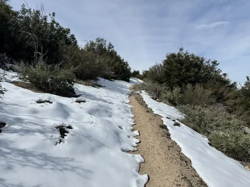 Best Hikes and Trails in Magic Mountain Wilderness | AllTrails