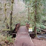 Mima Falls East Trail, Washington - 1,768 Reviews, Map | AllTrails