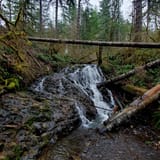 Mima Falls East Trail, Washington - 1,768 Reviews, Map | AllTrails