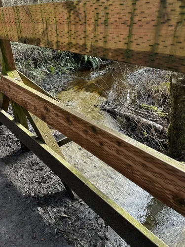 Best Wild Flowers Trails in Port Gamble Forest Heritage Park | AllTrails