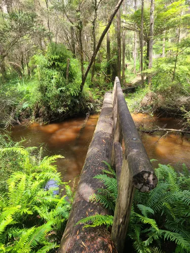 Best Hikes and Trails in Ada River Sawmill Historical and Cultural ...