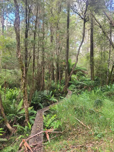 Best Hikes and Trails in Ada River Sawmill Historical and Cultural ...