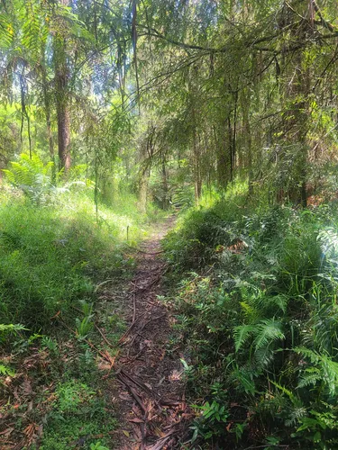 Best Walking Trails in Ada | AllTrails