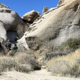 Grapevine Canyon Trail, Nevada - 542 Reviews, Map | AllTrails