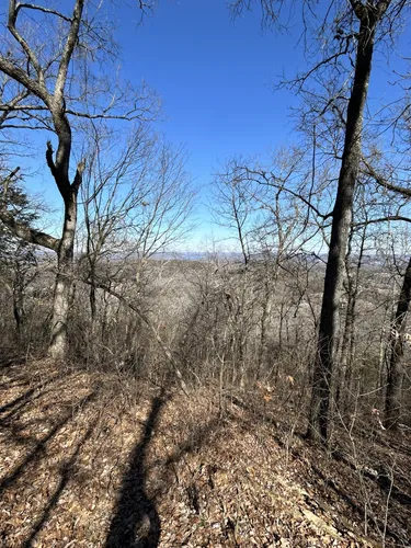 Best Hikes and Trails in Pilot Knob Conservation Area | AllTrails
