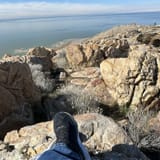 Buffalo Point Trail, Utah - 1,094 Reviews, Map | AllTrails