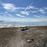 Buffalo Point Trail, Utah - 1,094 Reviews, Map | AllTrails