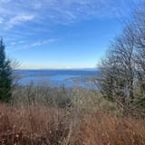 Big Tree Ridge Trail, Washington - 481 Reviews, Map | AllTrails