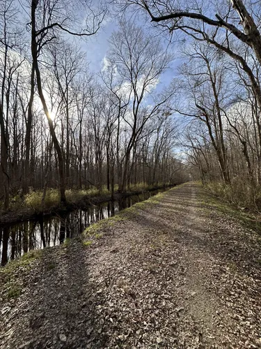 Best Trail Running Trails in Great Dismal Swamp National Wildlife ...