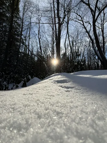 Best Easy Trails in Forbes State Forest | AllTrails