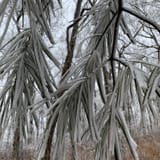 Appalachian Trail: Neel Gap to Hogpen Gap, Georgia - 744 Reviews, Map ...