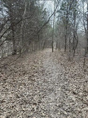 Best Hikes and Trails in Spring Creek Forest Preserve | AllTrails