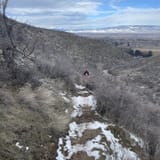 Manastash Ridge Trail, Washington - 675 Reviews, Map | AllTrails