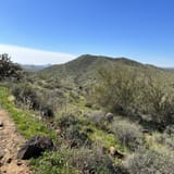Apache Wash Sidewinder Loop Trail, Arizona - 1,845 Reviews, Map | AllTrails