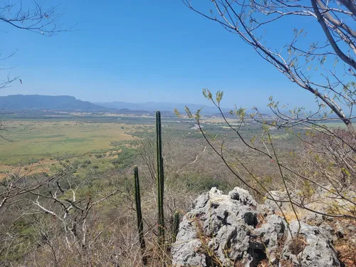 Best Hikes and Trails in Palo Verde National Park | AllTrails