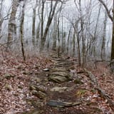 Three Forks and Springer Mountain via Appalachian Trail, Georgia - 743 ...