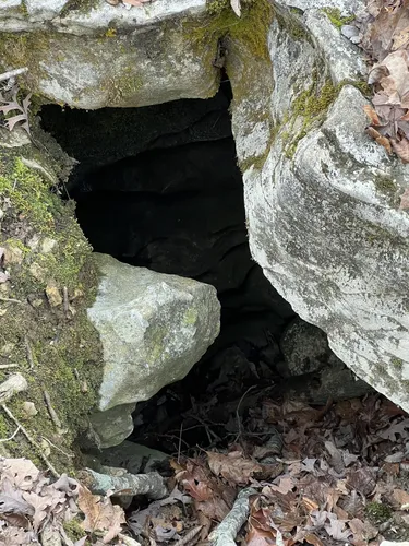 Cathedral Caverns State Park: de beste routes om te wandelen | AllTrails