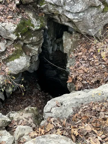 Cathedral Caverns State Park: de beste routes om te wandelen | AllTrails