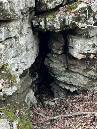 Cathedral Caverns State Park: de beste routes om te wandelen | AllTrails
