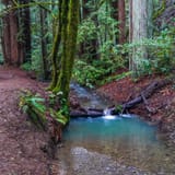 Dawn Falls Trail, California - 966 Reviews, Map | AllTrails