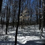 Lawrence Creek Trail, Indiana - 2,902 Reviews, Map | AllTrails