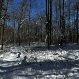 Lawrence Creek Trail, Indiana - 2,902 Reviews, Map | AllTrails