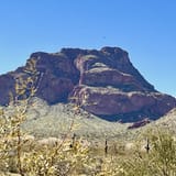 Lower Salt River Nature Trail, Arizona - 1,156 Reviews, Map | AllTrails