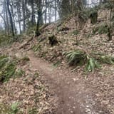 Puyallup Loop Trail, Washington - 1,274 Reviews, Map | AllTrails