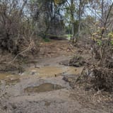 Puddingstone Reservoir Loop, California - 1,986 Reviews, Map | AllTrails