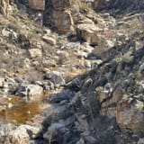 Tanque Verde Falls Trail, Arizona - 2,480 Reviews, Map | AllTrails