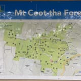 Mt Coot-tha Summit Track, Queensland, Australia - 409 Reviews, Map ...