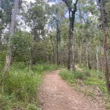 Mt Coot-tha Summit Track, Queensland, Australia - 409 Reviews, Map ...