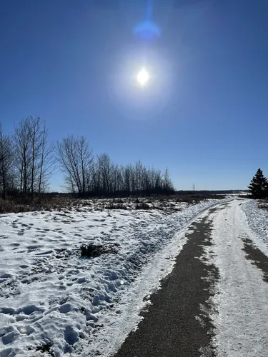 10 Best Trails and Hikes in St. Albert | AllTrails