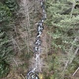 Mount Washington Trail, Washington - 2,681 Reviews, Map | AllTrails