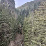 Mount Washington Trail, Washington - 2,681 Reviews, Map | AllTrails