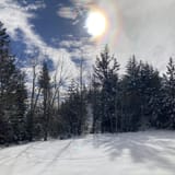 Tumwater Mountain Approach, Washington - 107 Reviews, Map | AllTrails