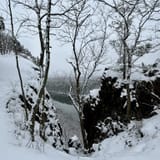 Giuffrida Park Loop, Connecticut - 1,627 Reviews, Map | AllTrails