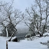 Giuffrida Park Loop, Connecticut - 1,627 Reviews, Map | AllTrails