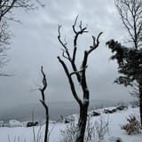 Giuffrida Park Loop, Connecticut - 1,627 Reviews, Map | AllTrails