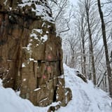 Giuffrida Park Loop, Connecticut - 1,627 Reviews, Map | AllTrails