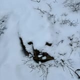 Giuffrida Park Loop, Connecticut - 1,627 Reviews, Map | AllTrails