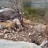 Johnsondale Bridge River Trail, California - 719 Reviews, Map | AllTrails